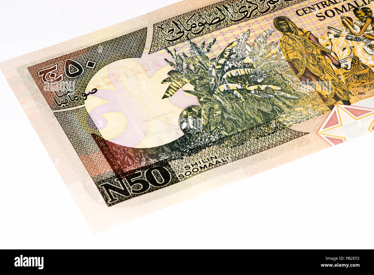50 Somali shilings, the national currency of Somalia Stock Photo - Alamy