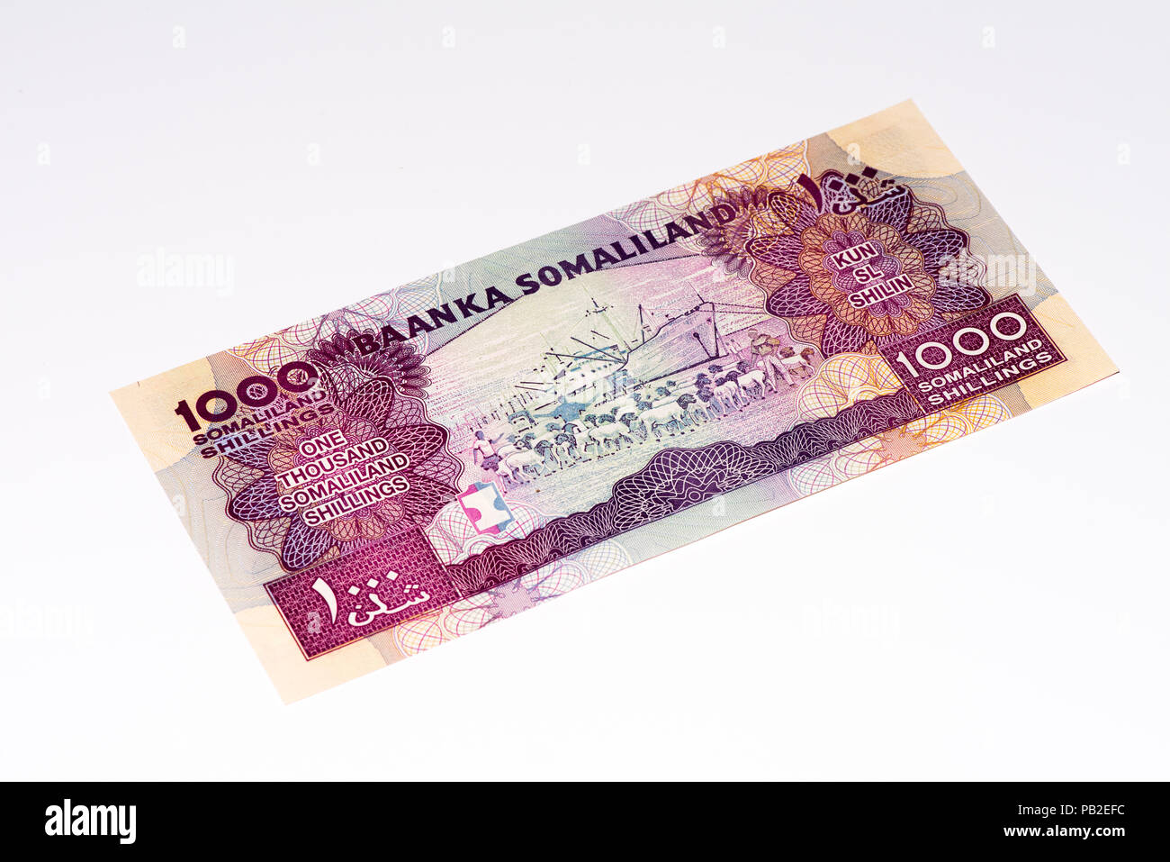 1000 Somali shilings, the national currency of Somalia Stock Photo - Alamy
