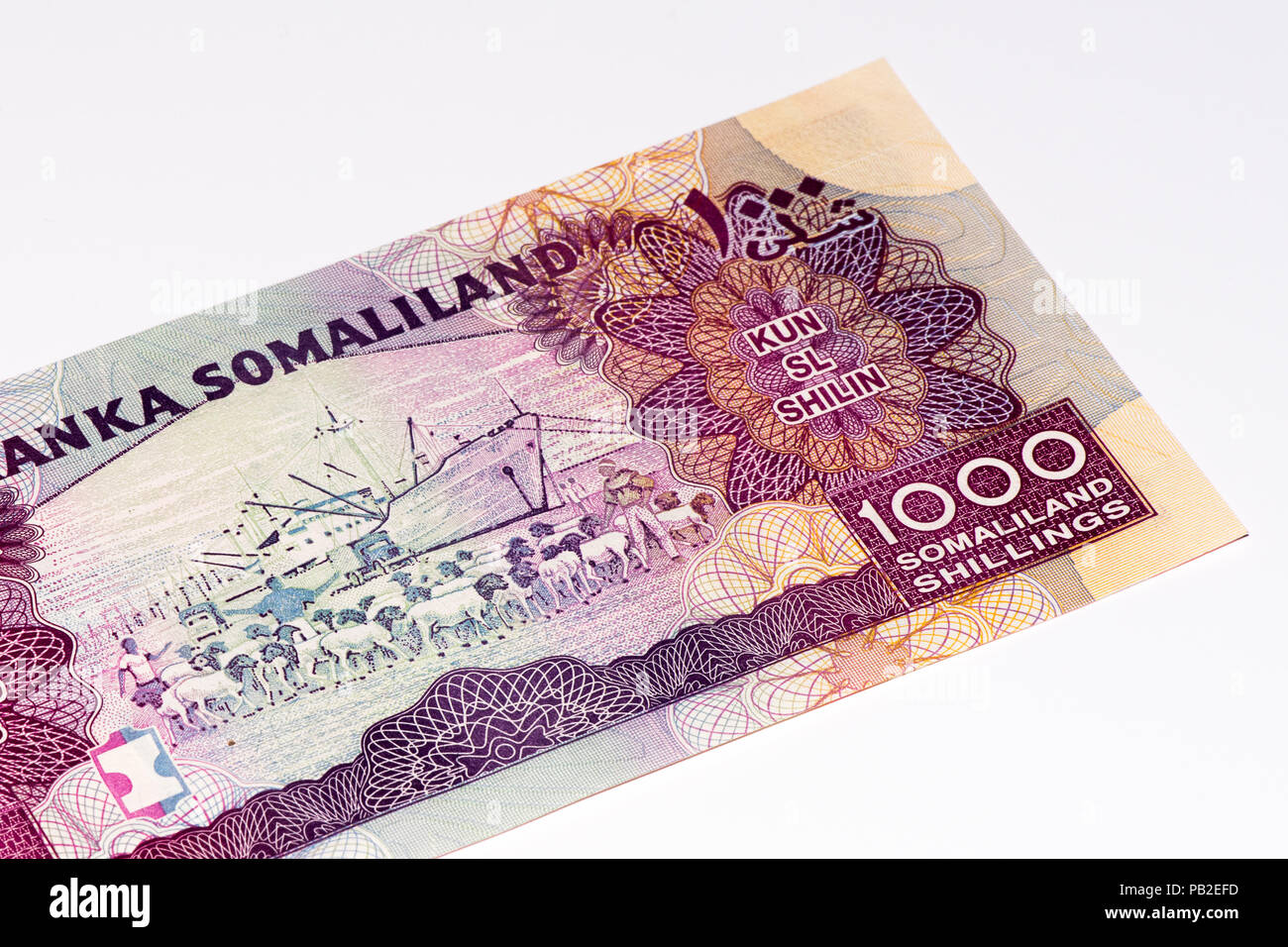 1000 Somali shilings, the national currency of Somalia Stock Photo - Alamy