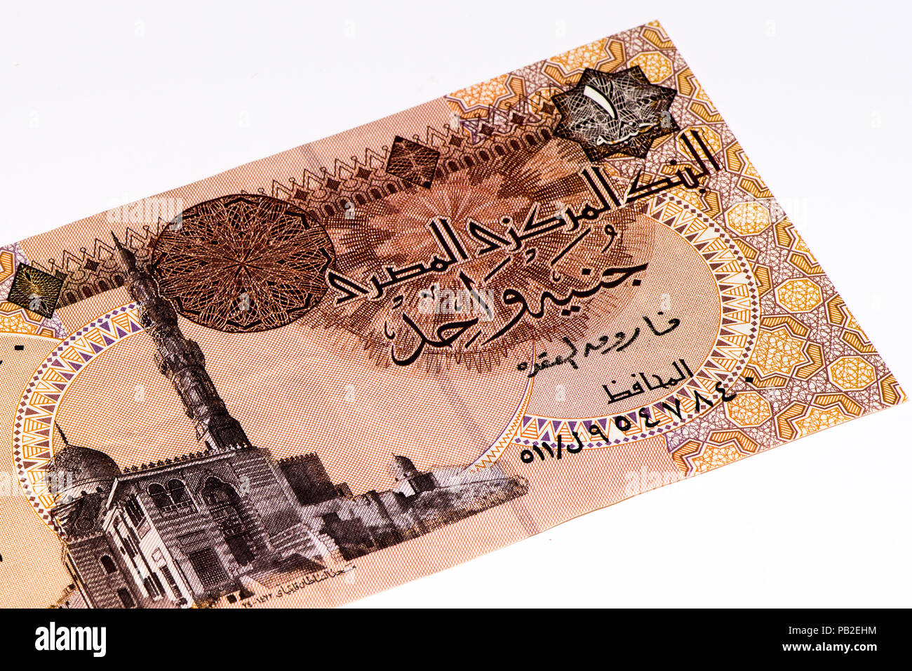 1 Egyptian pound bank note. Egyptian pound is the national currency of ...