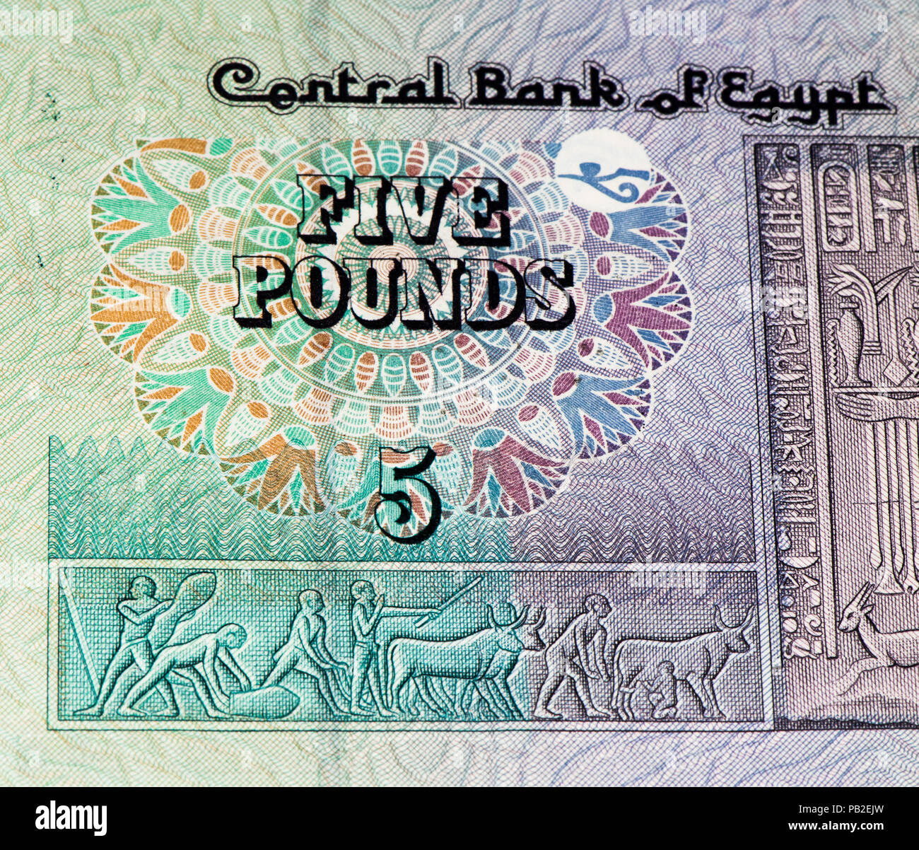 5 Egyptian pound bank note. Egyptian pound is the national currency of ...