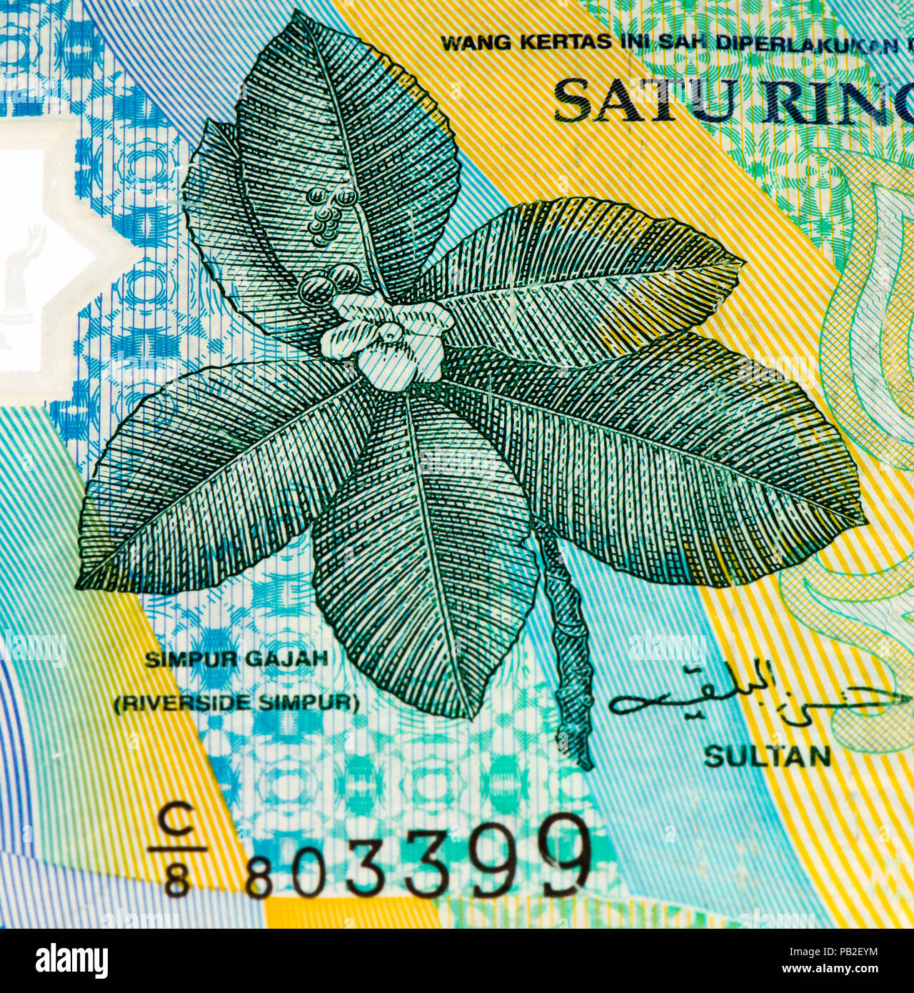 1 dollar bank note of Brunei Stock Photo - Alamy