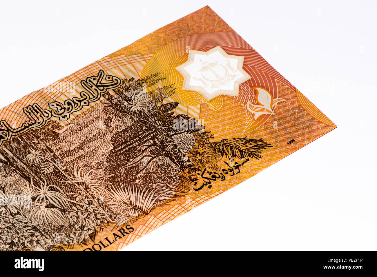 10 dollar bank note of Brunei Stock Photo - Alamy
