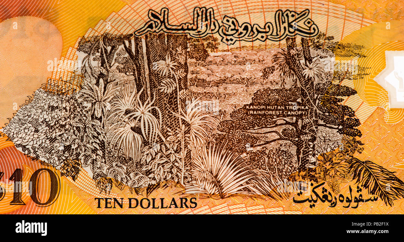 10 dollar bank note of Brunei Stock Photo - Alamy
