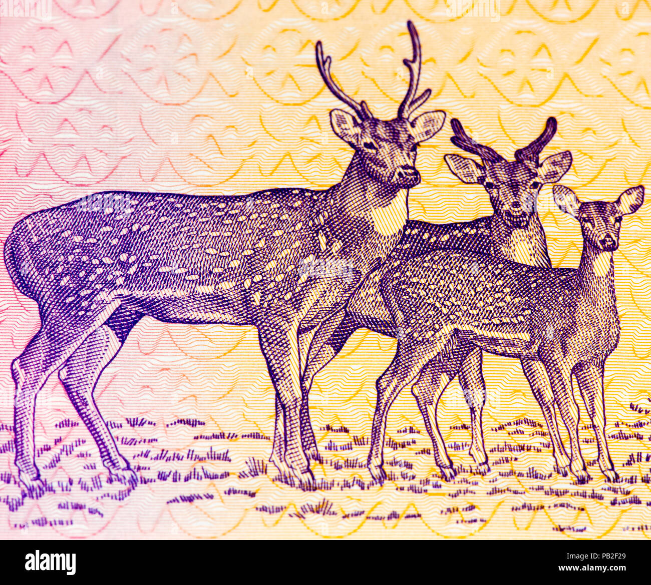 1 taka bank note. Taka is the national currency of Bangladesh Stock ...