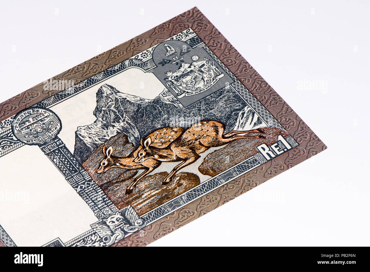 1 Nepalese rupee bank note. Nepalese rupee is the national currency of ...