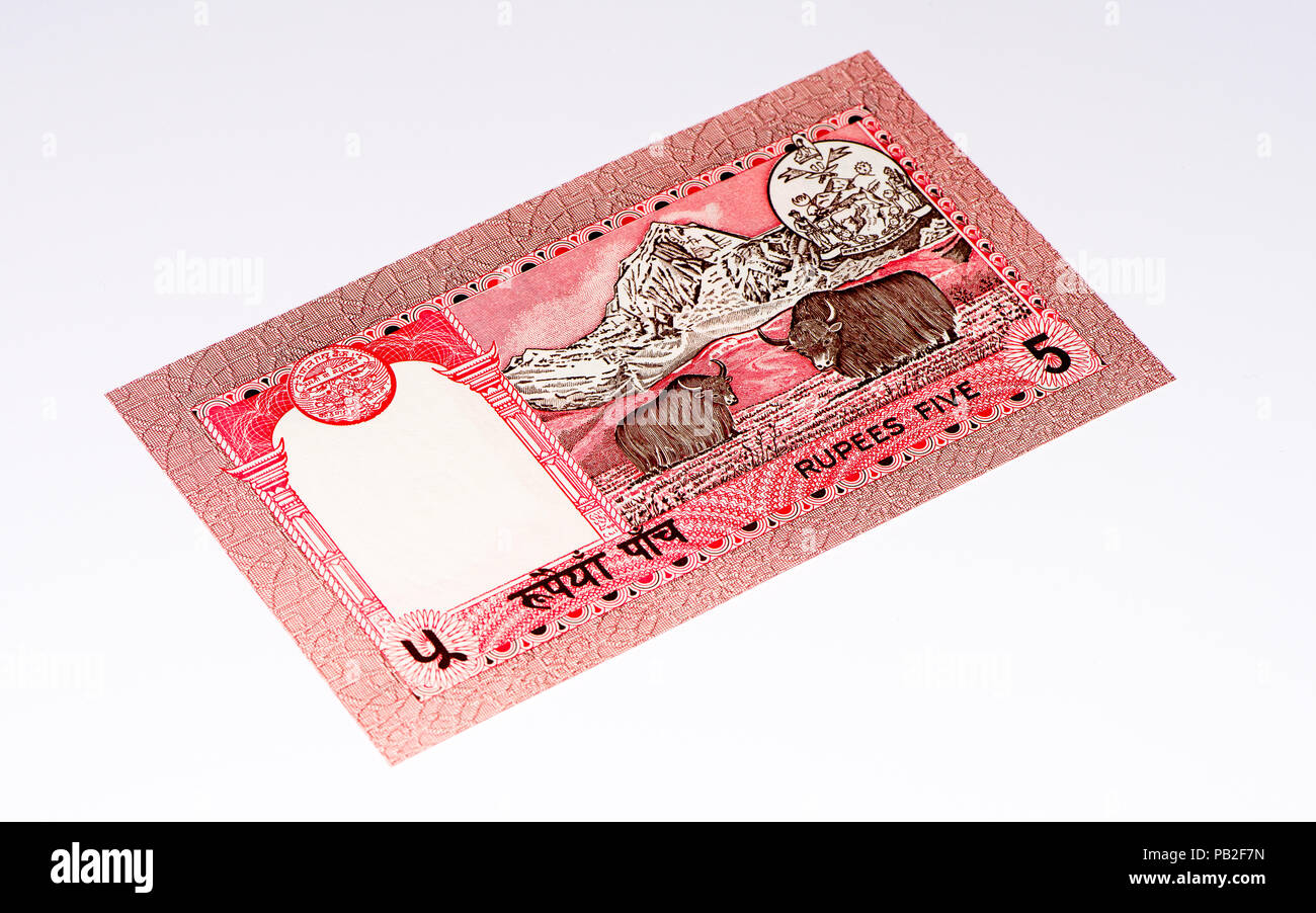 5 Nepalese rupee bank note. Nepalese rupee is the national currency of ...