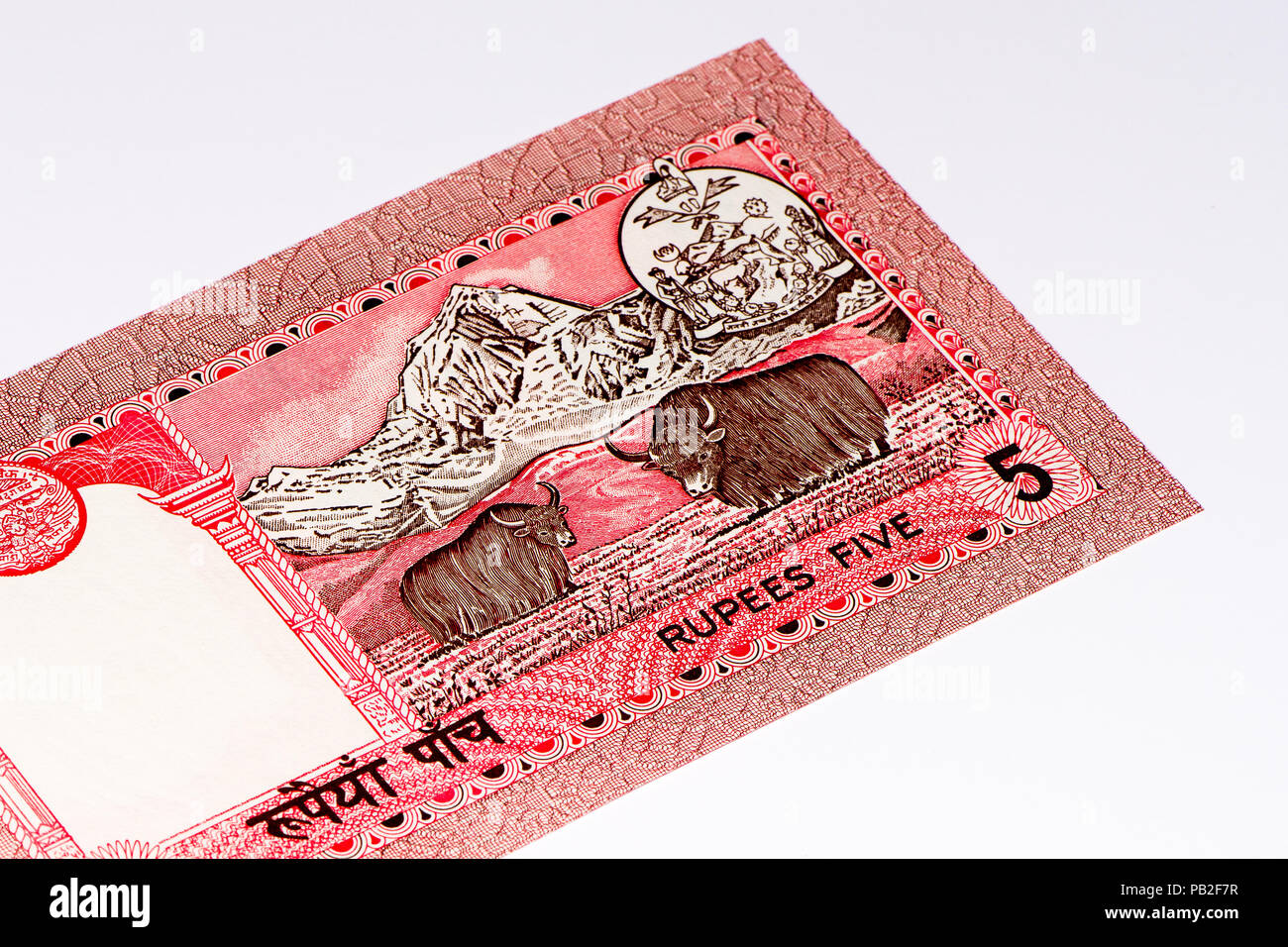 5 Nepalese rupee bank note. Nepalese rupee is the national currency of ...