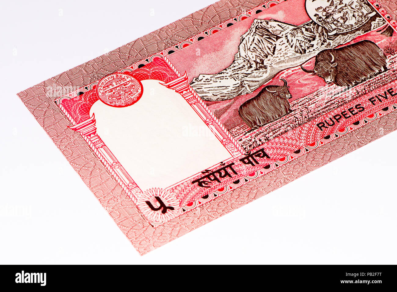 5 Nepalese rupee bank note. Nepalese rupee is the national currency of ...