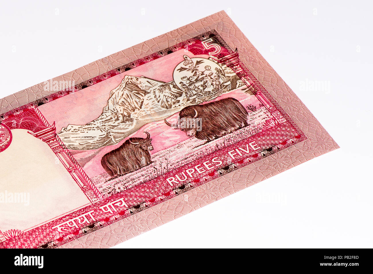 5 Nepalese rupee bank note. Nepalese rupee is the national currency of ...