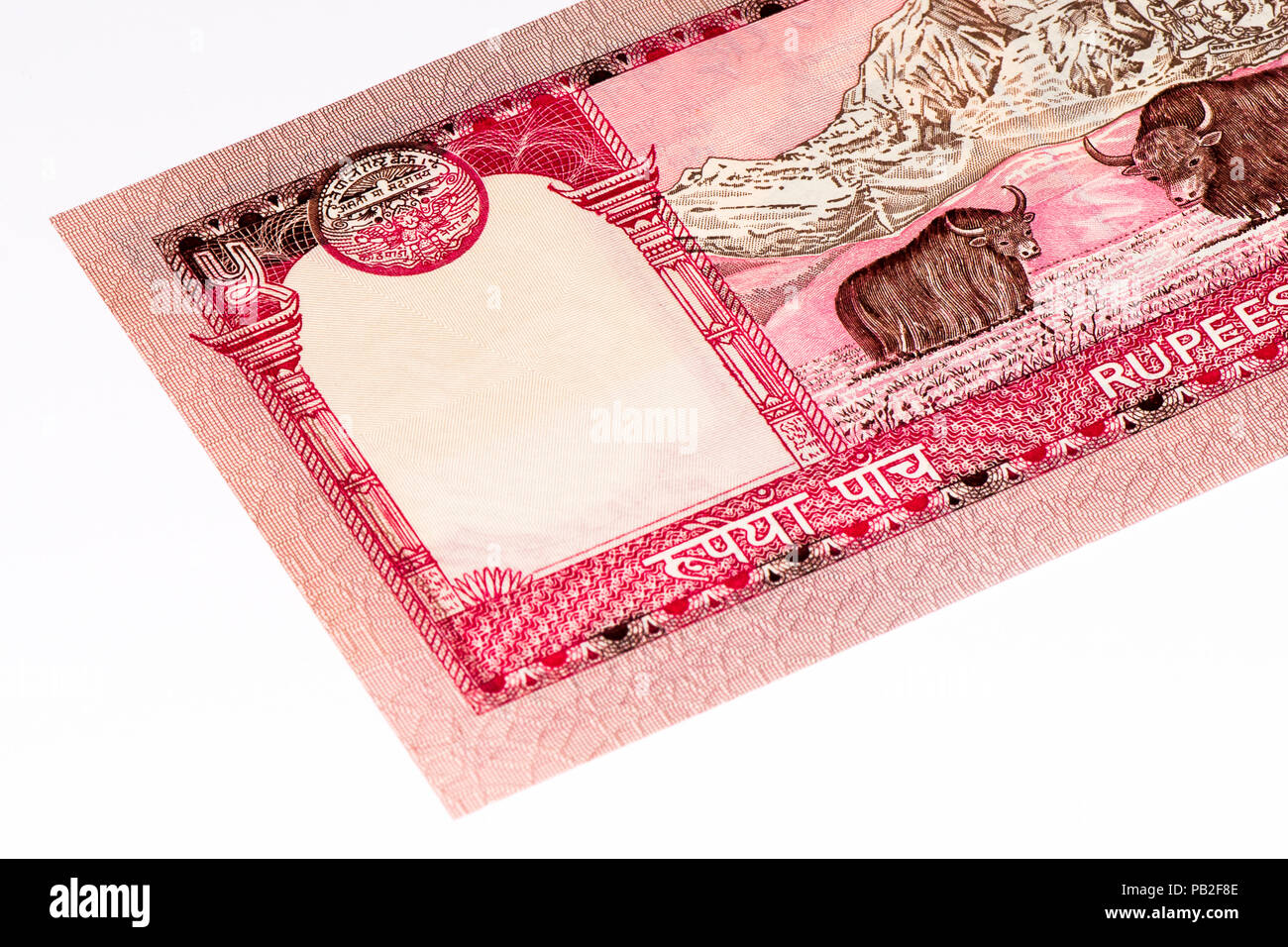 5 Nepalese rupee bank note. Nepalese rupee is the national currency of ...