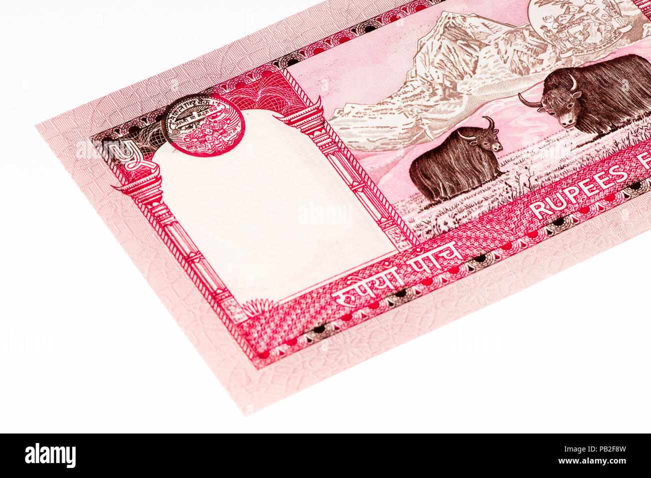 5 Nepalese rupee bank note. Nepalese rupee is the national currency of ...