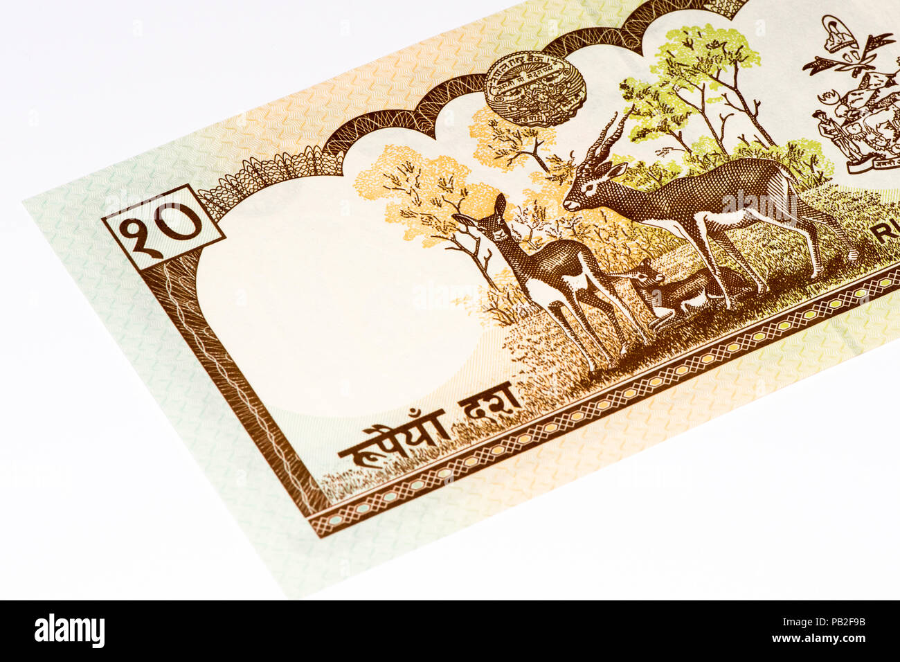 10 Nepalese rupee bank note. Nepalese rupee is the national currency of ...