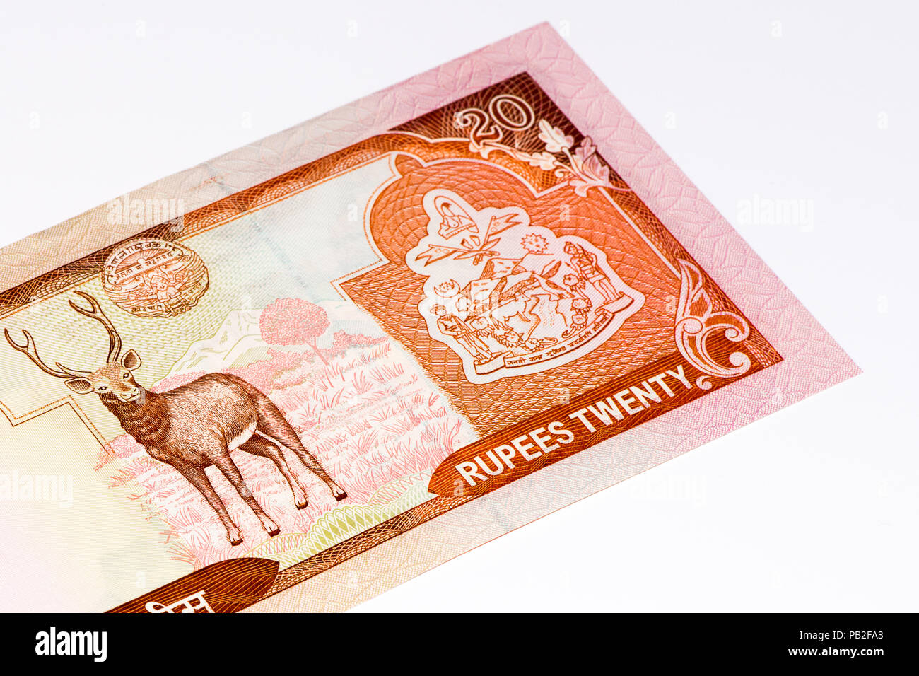 20 Nepalese rupee bank note. Nepalese rupee is the national currency of ...