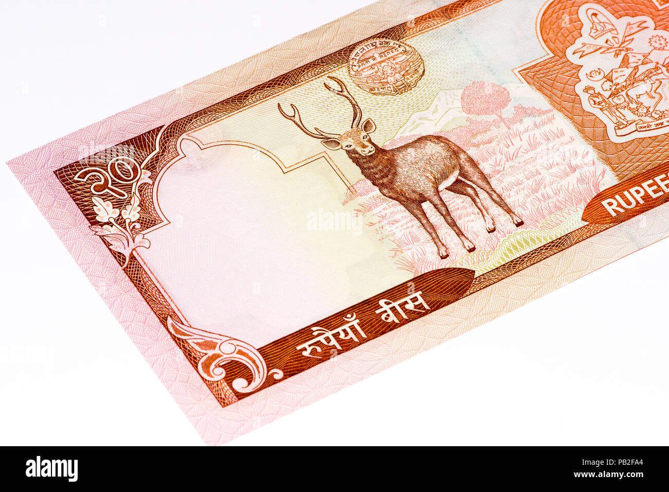20 Nepalese rupee bank note. Nepalese rupee is the national currency of ...