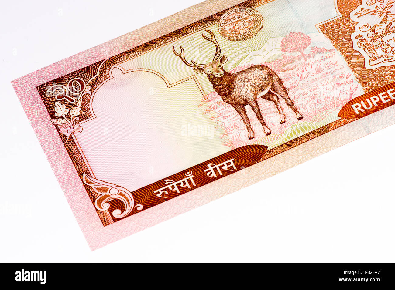 20 Nepalese rupee bank note. Nepalese rupee is the national currency of ...