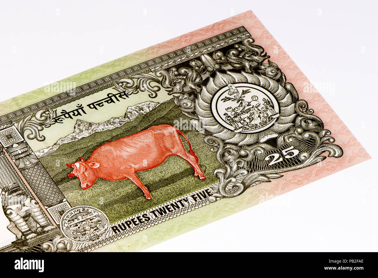 50 Nepalese rupee bank note. Nepalese rupee is the national currency of ...