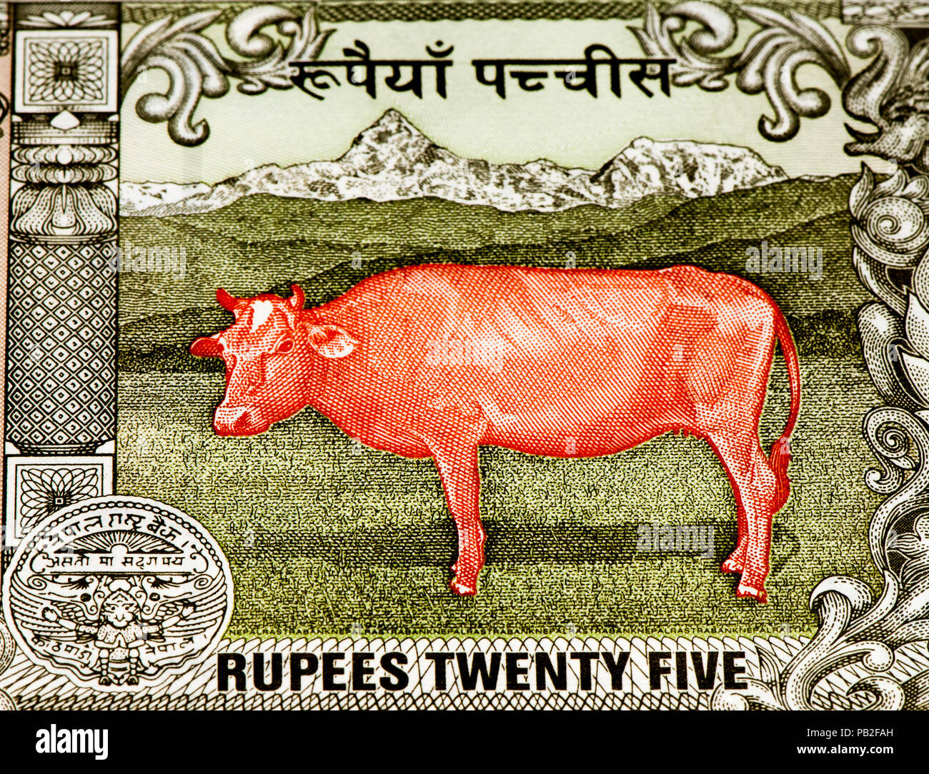 50 Nepalese rupee bank note. Nepalese rupee is the national currency of ...