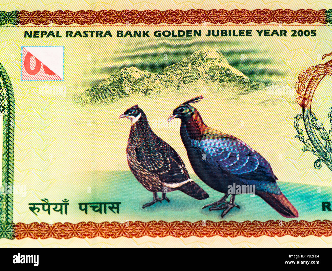50 Nepalese rupee bank note. Nepalese rupee is the national currency of ...