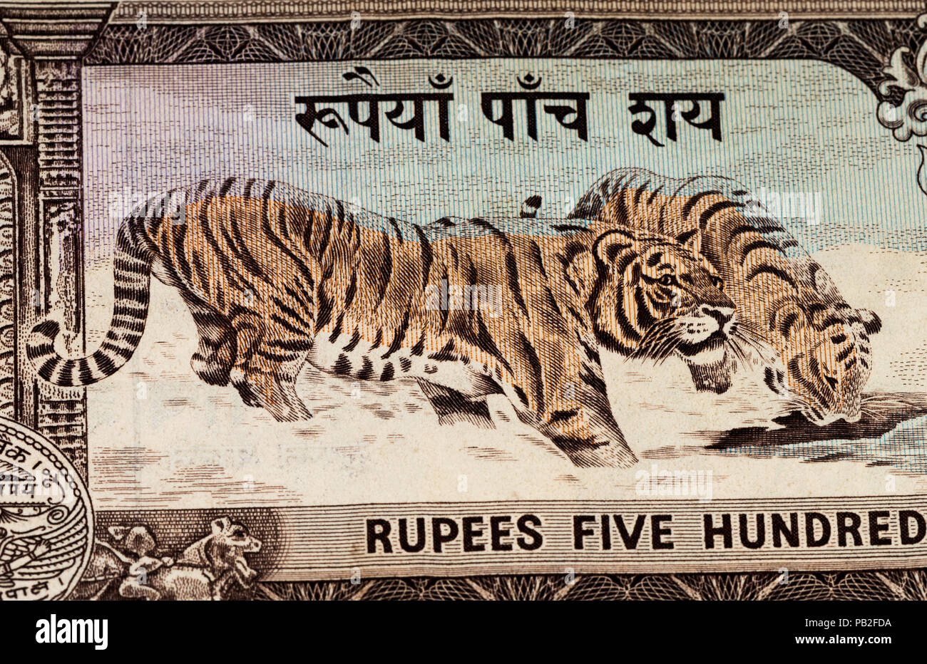 500 Nepalese rupee bank note. Nepalese rupee is the national currency ...