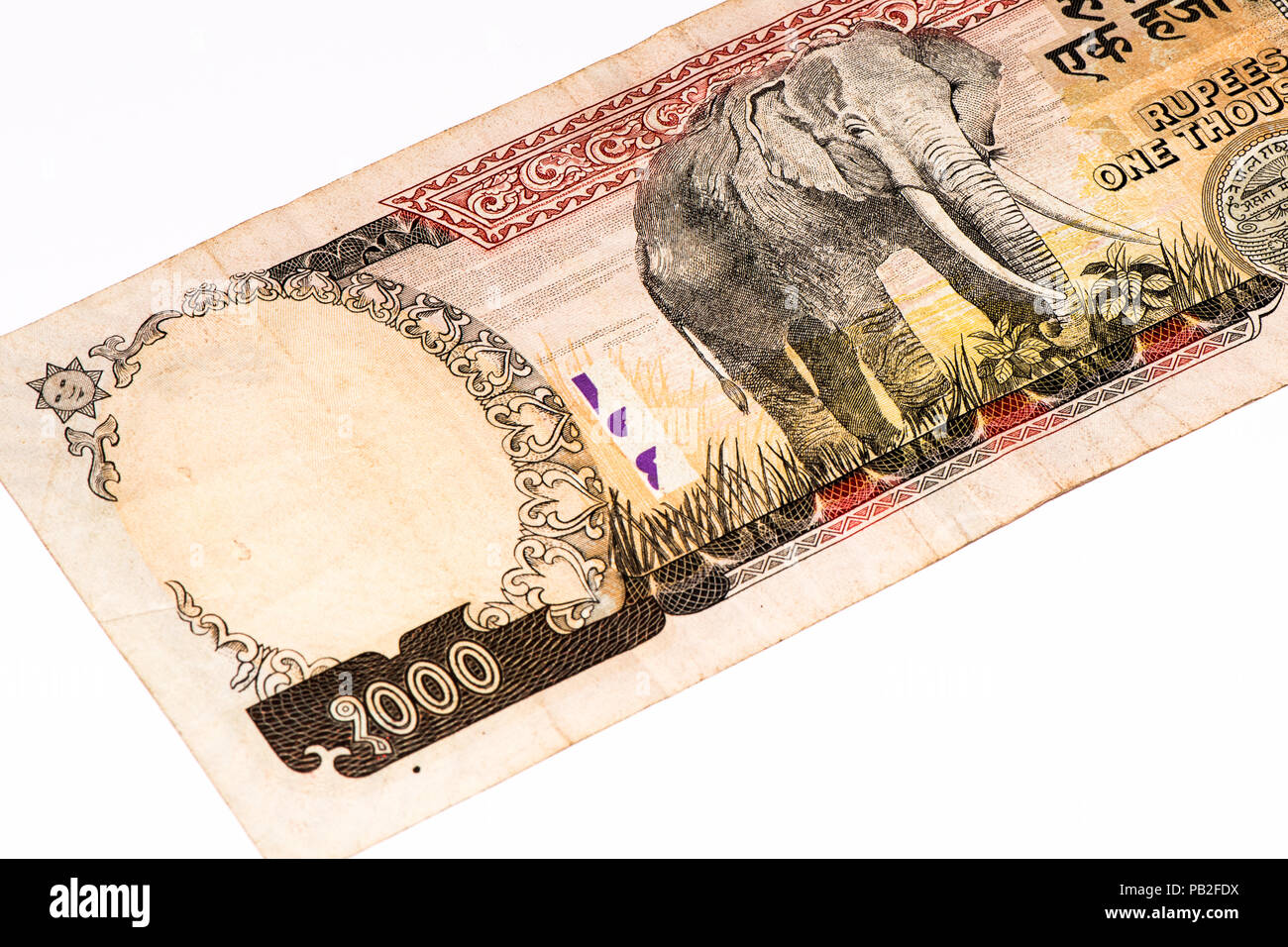 1000 Nepalese rupee bank note. Nepalese rupee is the national currency ...