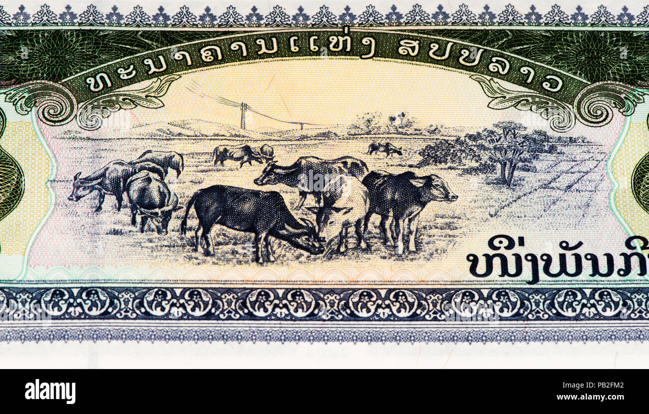 1000 kip bank note. Kip is the national currency of Laos Stock Photo ...