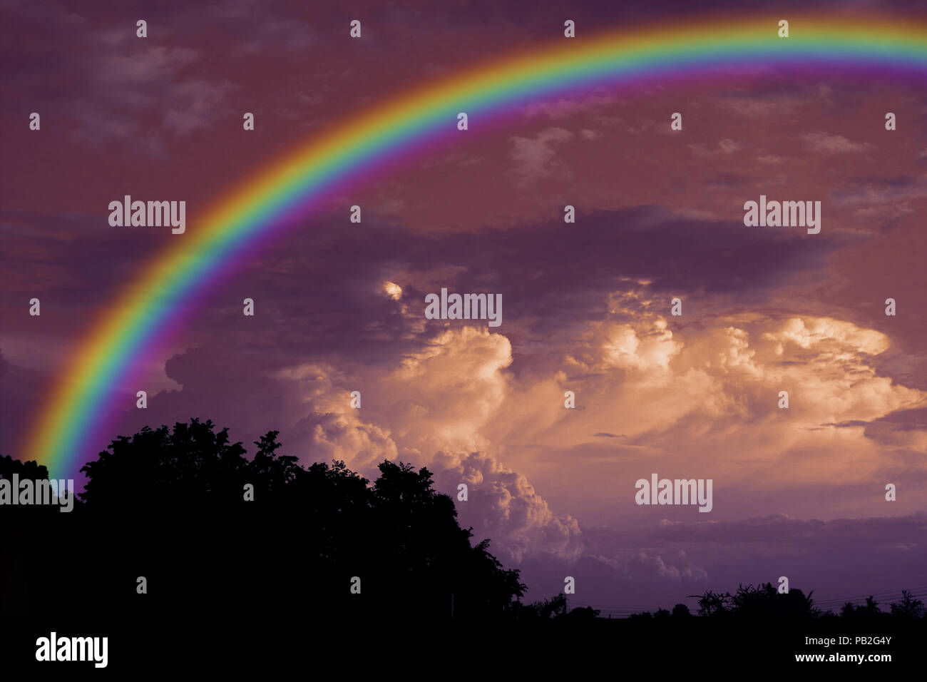 Rainbow over garden forest hi-res stock photography and images - Alamy