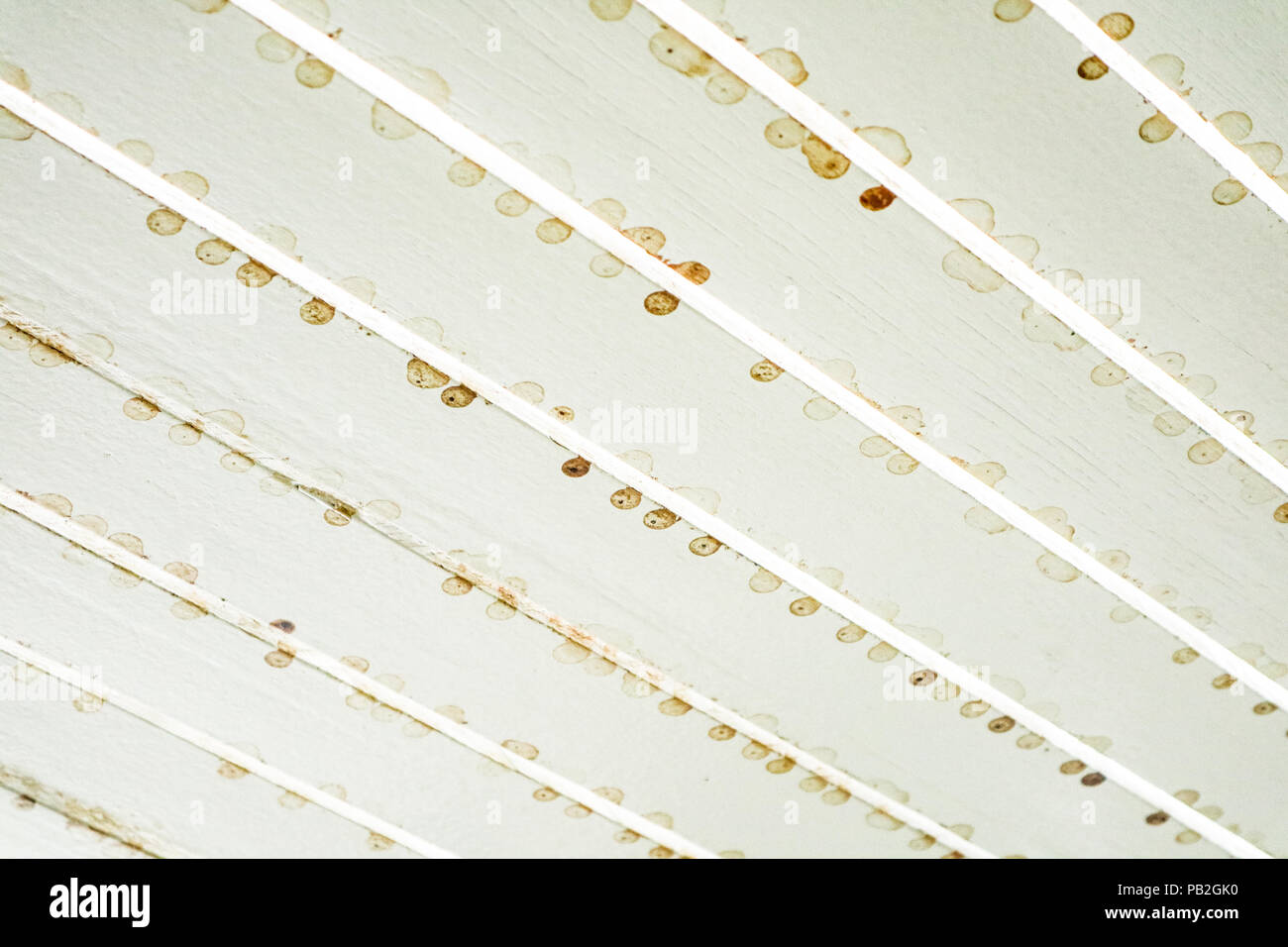 Ceiling wood and brown ditry rust spot was born rain drop on crack and ...