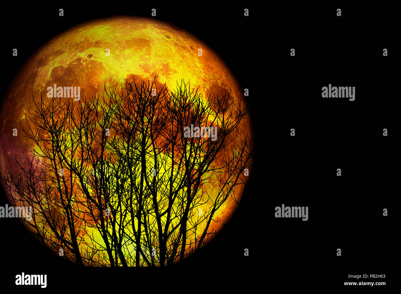 full Worm moon back silhouette dry tree and colorful sky, Elements of ...