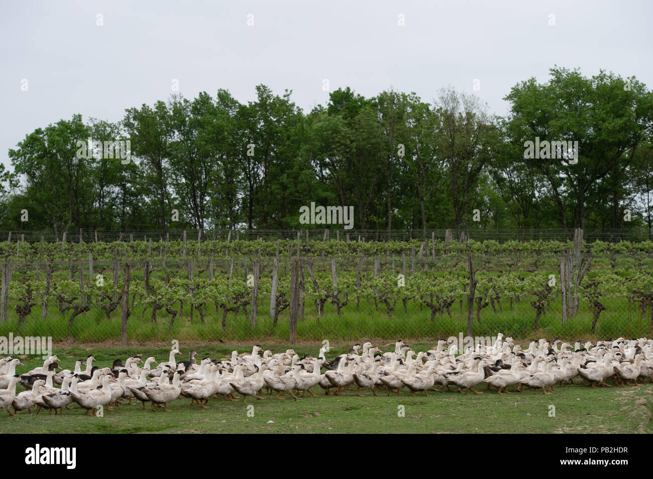 Farm spatial layout hi-res stock photography and images - Alamy