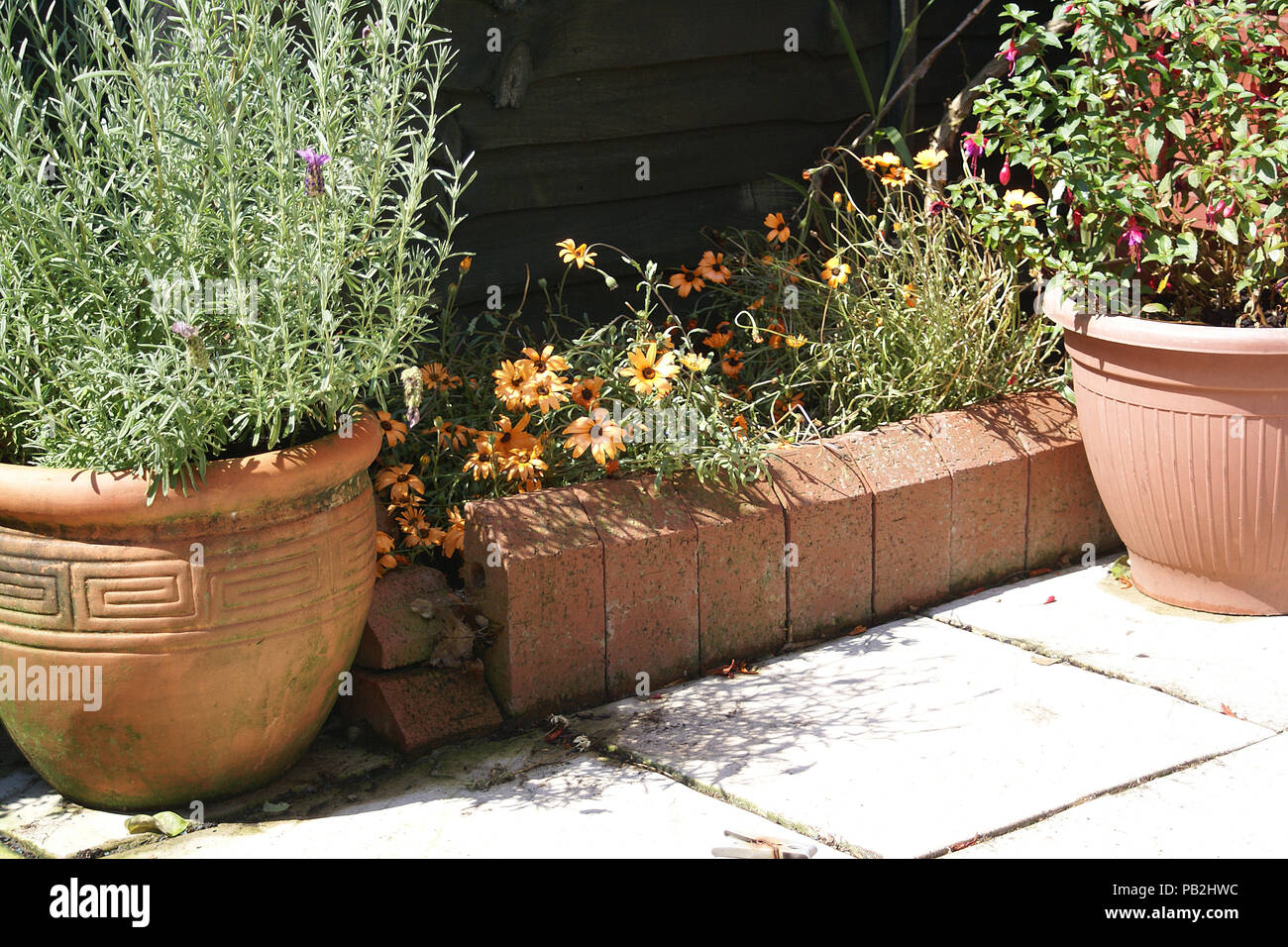 Bourder plants hi-res stock photography and images - Alamy