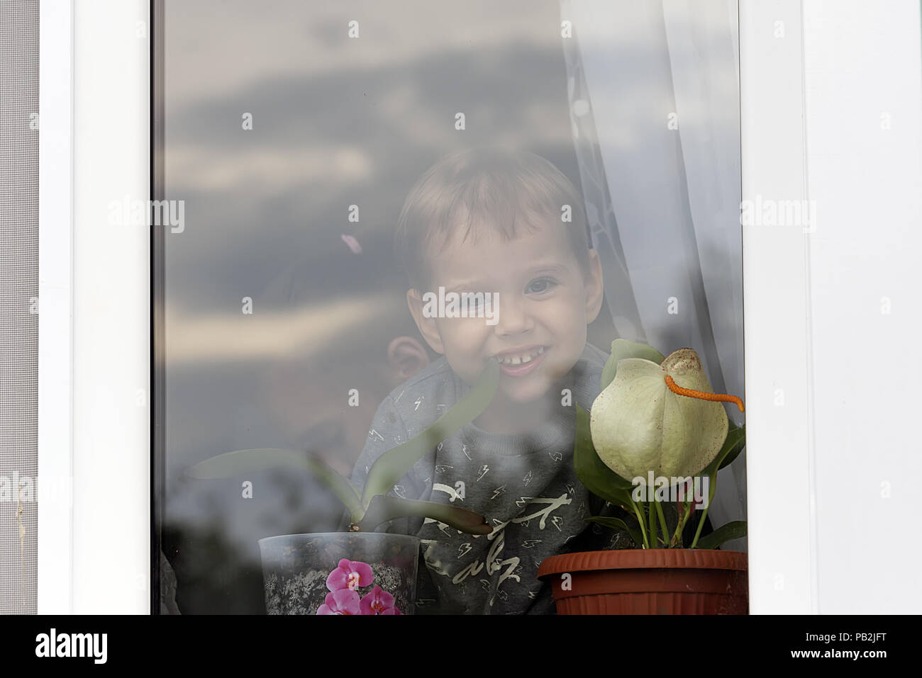 smiling children looking out the window at the street Stock Photo - Alamy