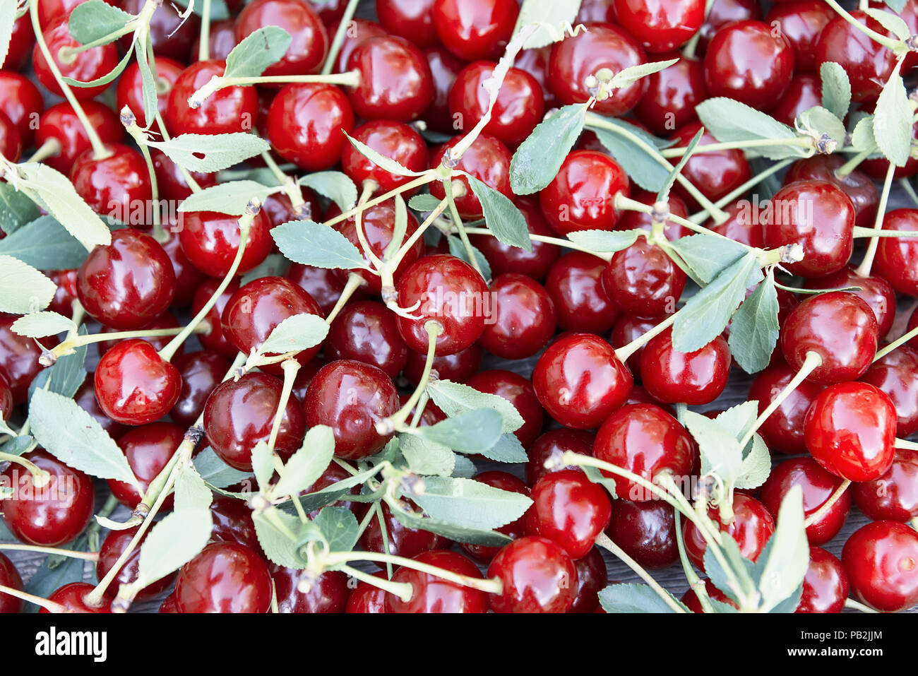 bright red ripe cherry texture Stock Photo - Alamy