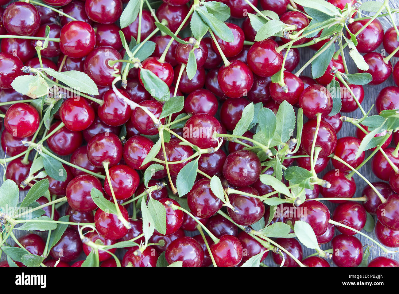 bright red ripe cherry texture Stock Photo - Alamy