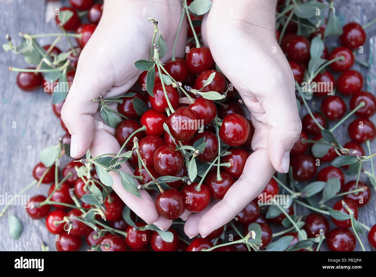 Handful sour cherries fruit hi-res stock photography and images - Alamy