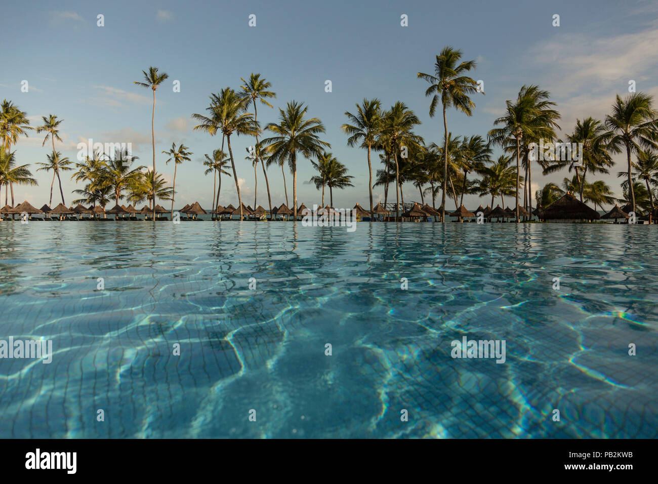 Pool with palm trees near the ocean during a beautiful sunset in Praia ...