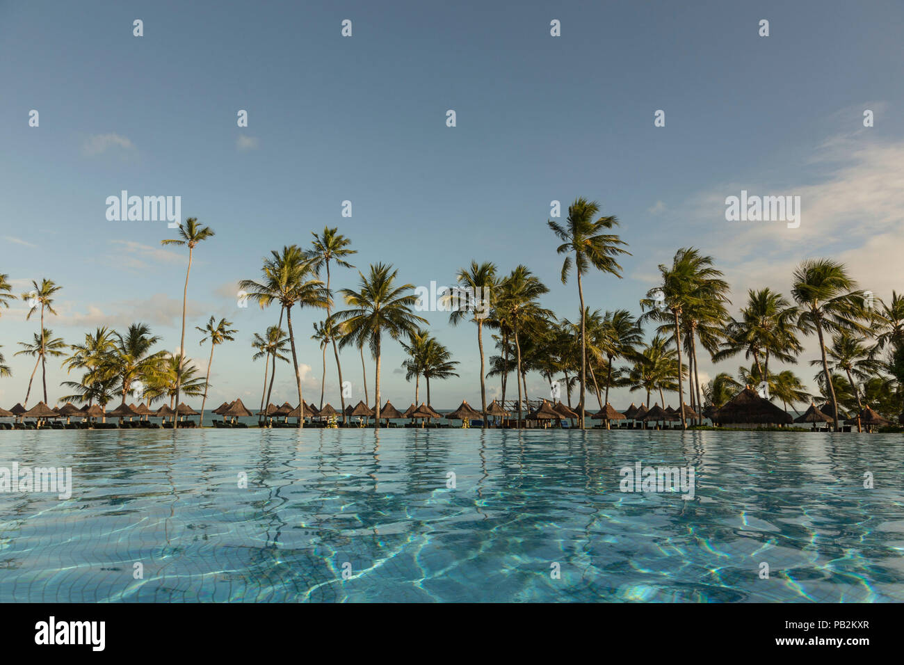 Pool with palm trees near the ocean during a beautiful sunset in Praia ...