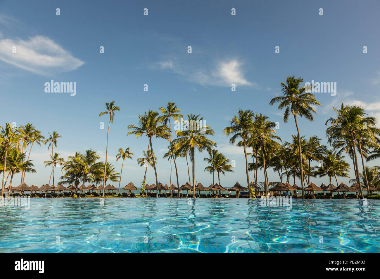 Pool with palm trees near the ocean during a beautiful sunset in Praia ...