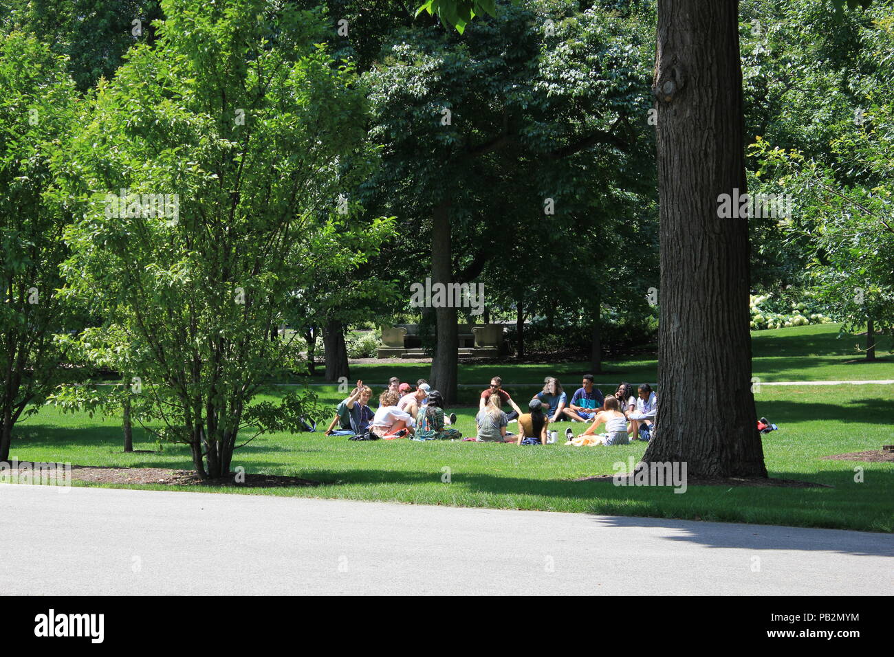 Group Discussion Students Stock Photos & Group Discussion Students ...
