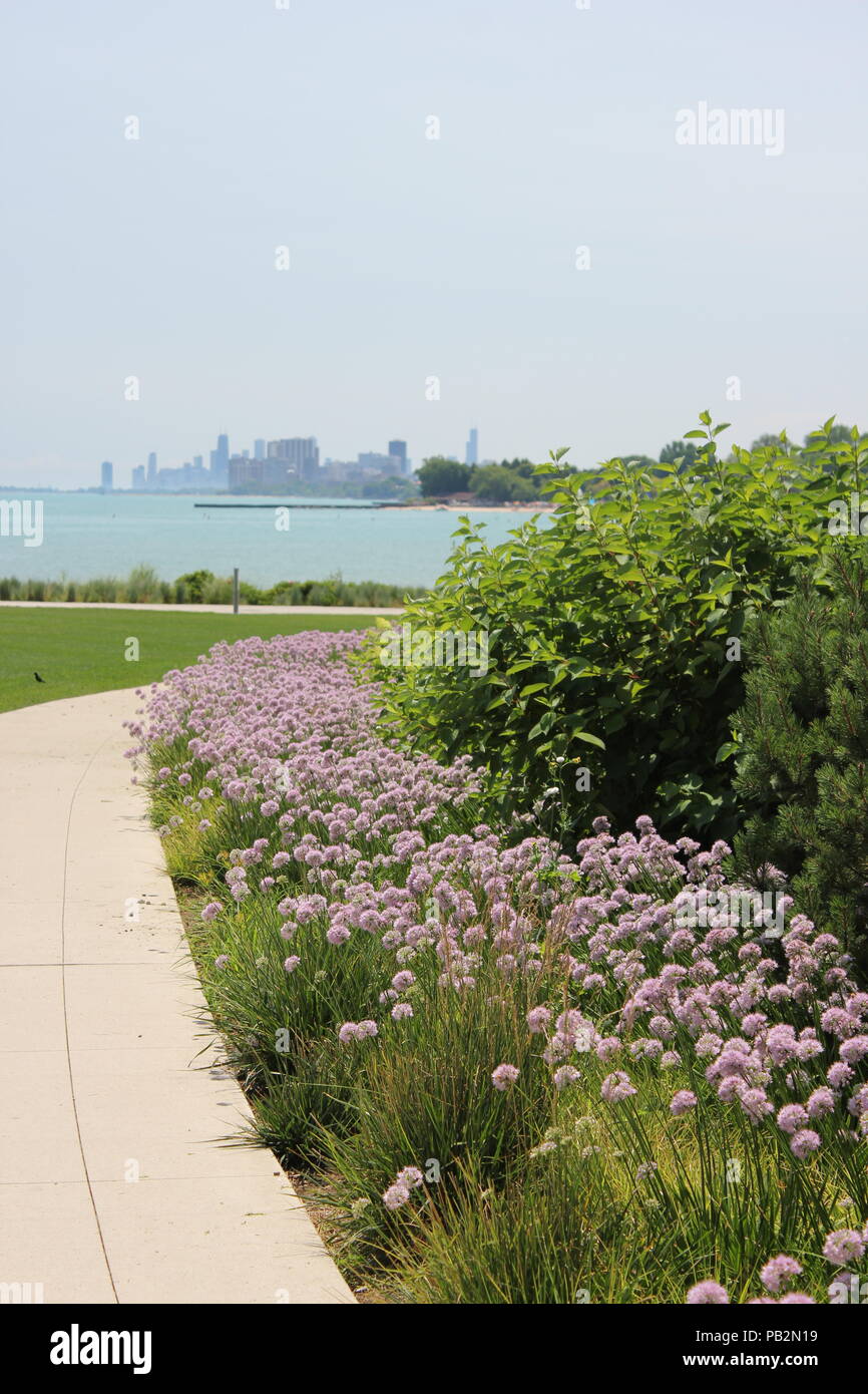 Beautiful flower garden along the lake shore Stock Photo - Alamy