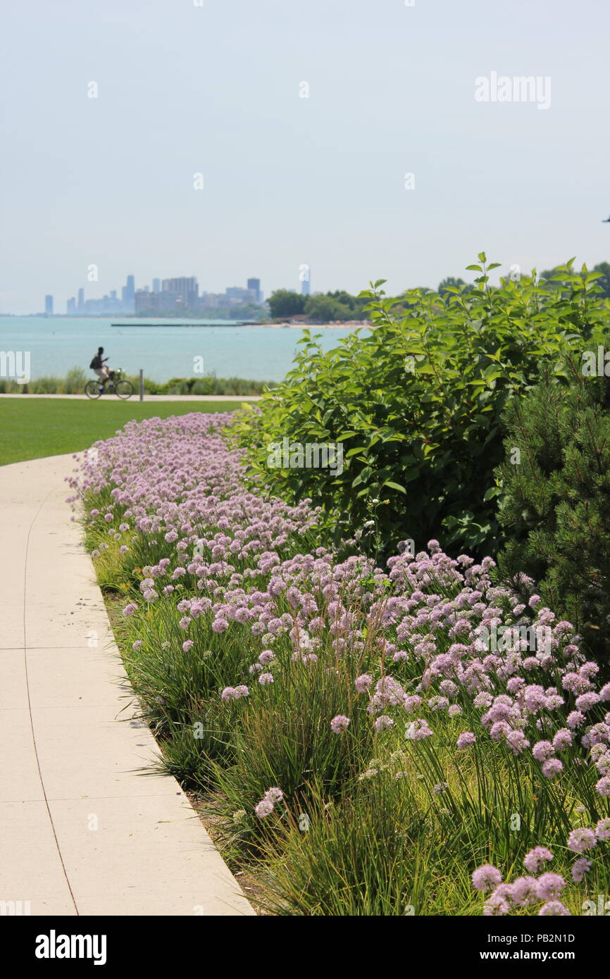Chicago summer streetscape hi-res stock photography and images - Alamy