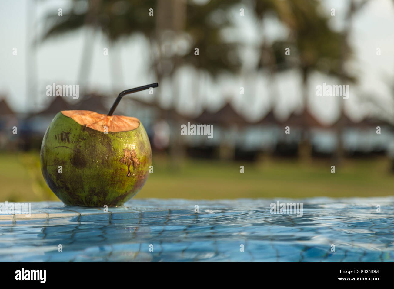 coconut on the edge of the tropical pool at sunset in a relaxing hotel ...