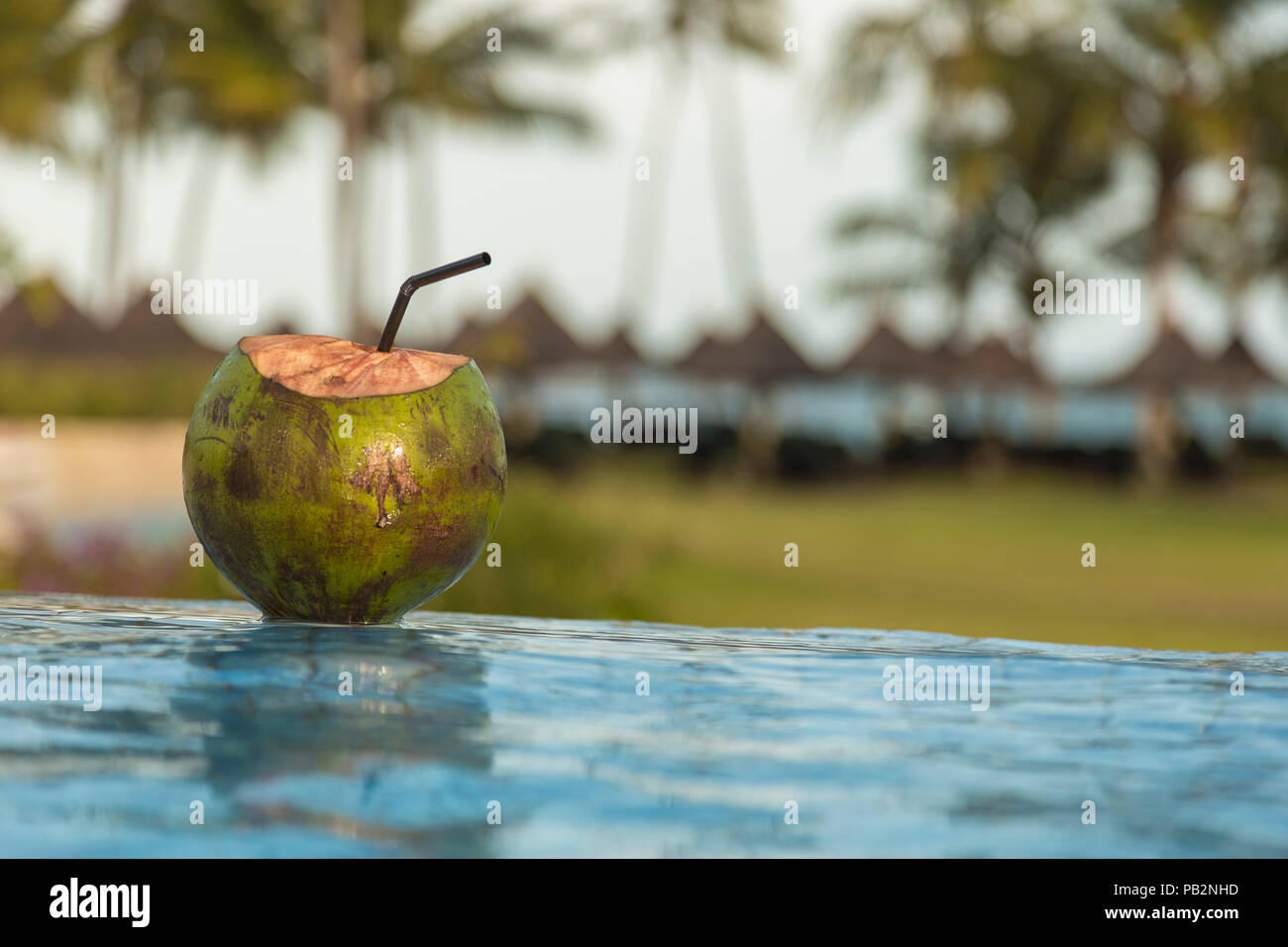 Tropical swimming pool coconut tree hi-res stock photography and images ...
