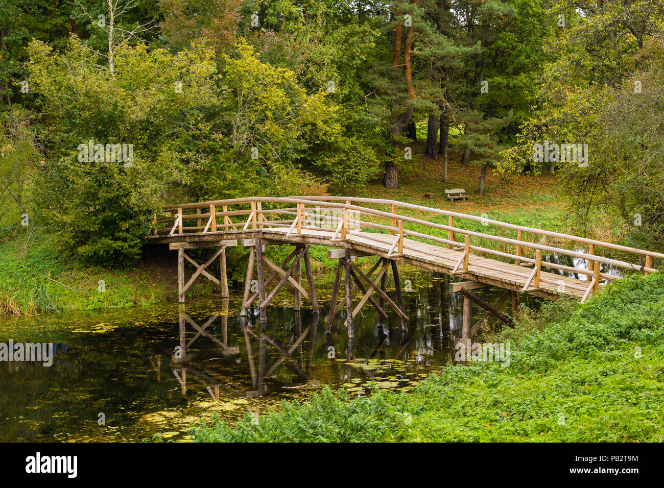 Bridge in the forest Stock Photo - Alamy