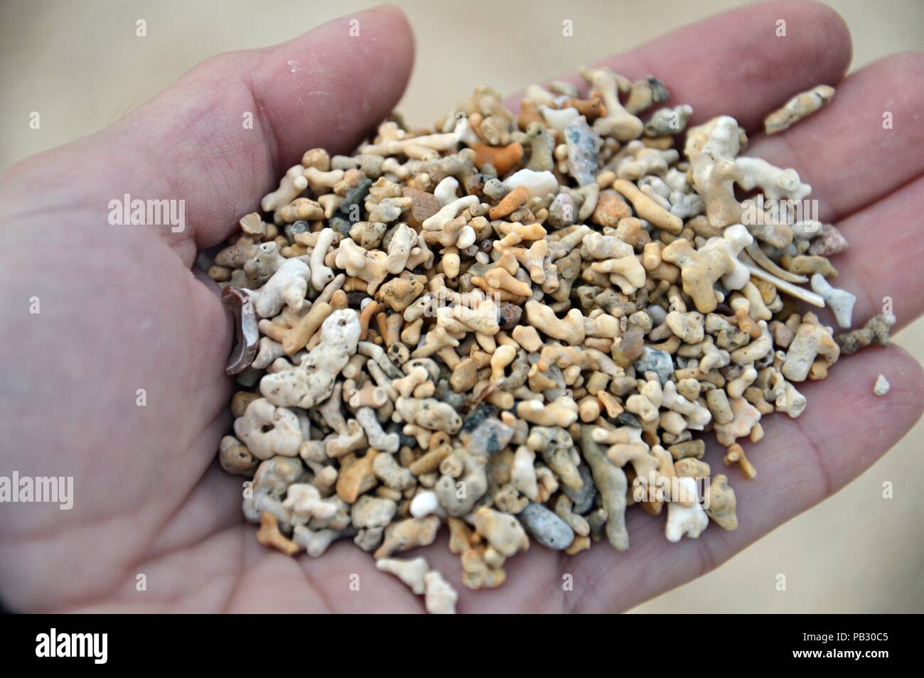 Coral strand ireland hi-res stock photography and images - Alamy