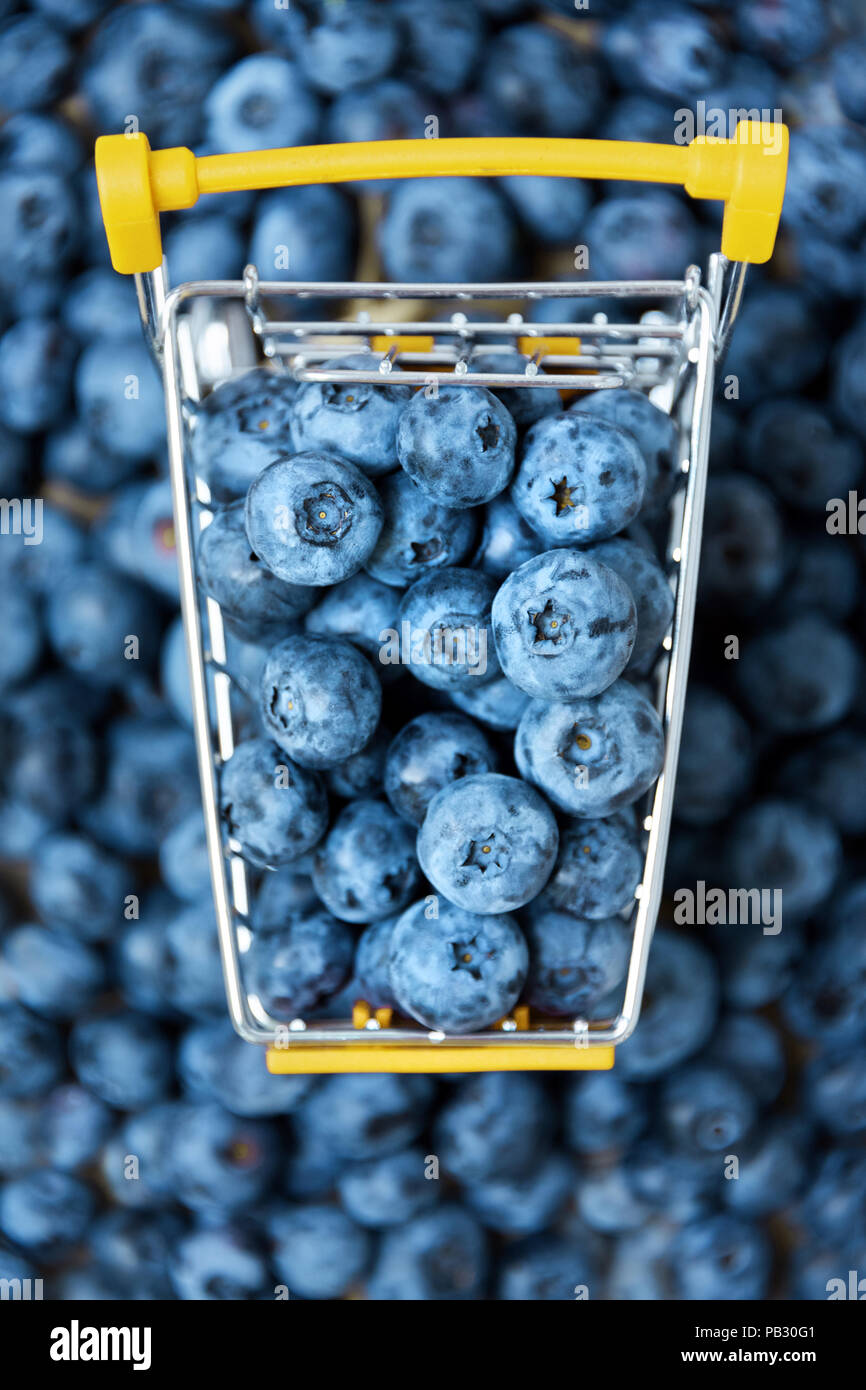 Blueberry fruits in mini shopping cart. Selective focus on the ...