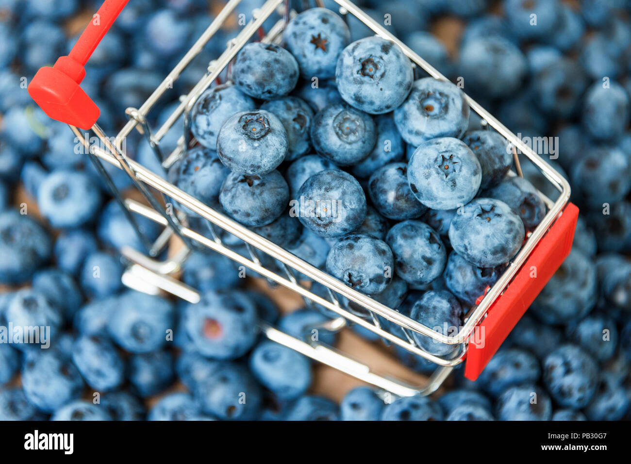 Blueberry fruits in mini shopping cart. Selective focus on the ...