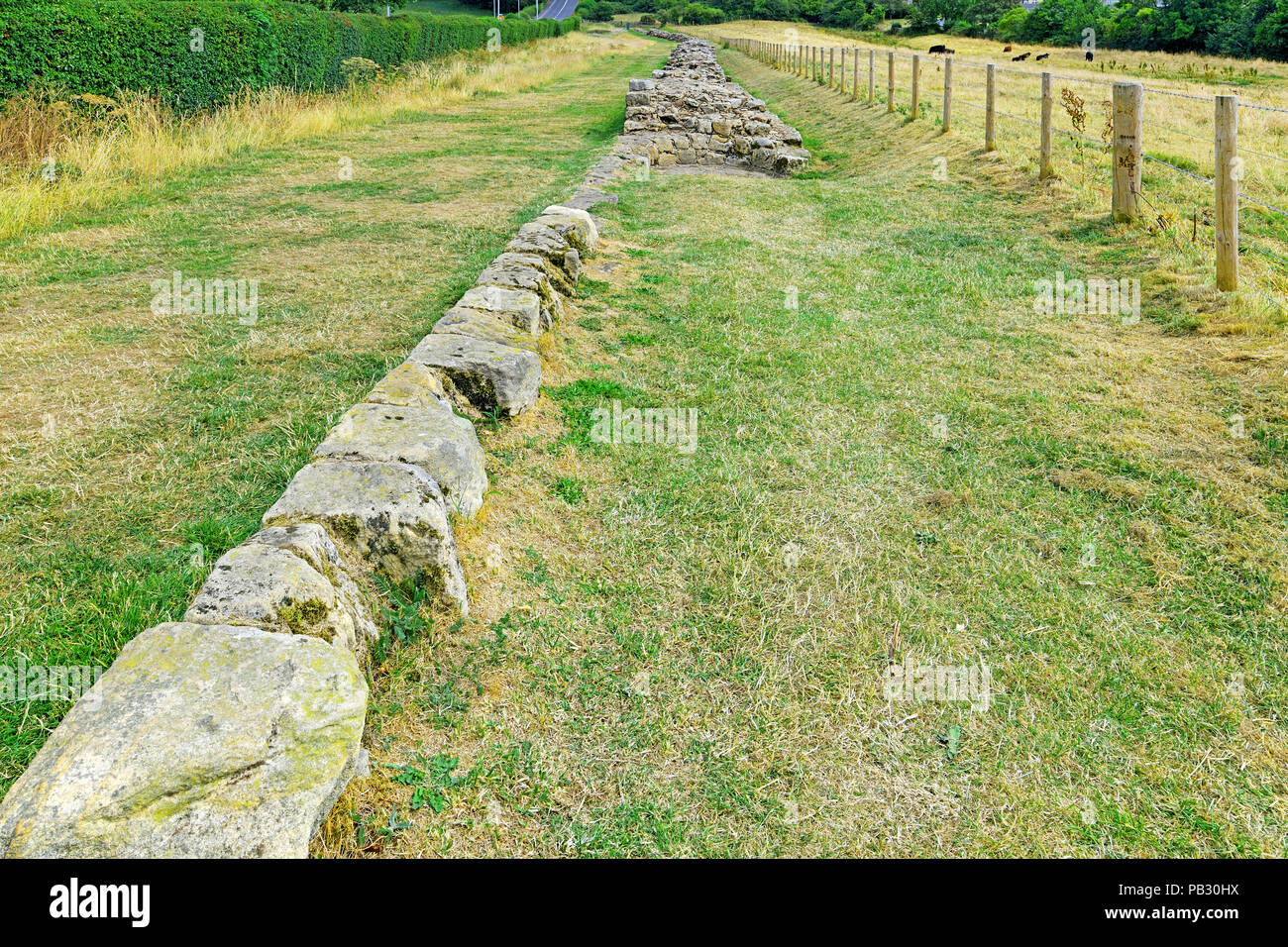 Roman Wall at Heddon on the Wall Front to back photo stacking Stock ...
