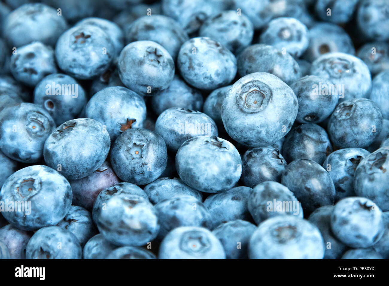 Fresh blueberry background. Blueberries texture close up Stock Photo ...
