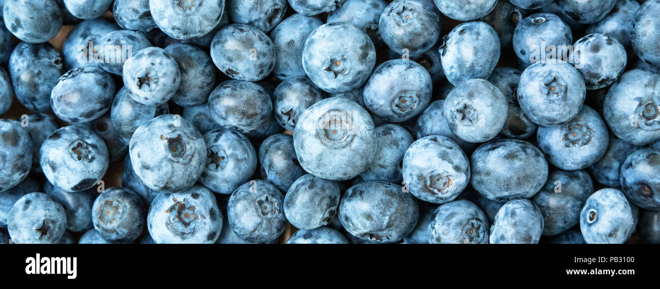 Fresh blueberry background. Blueberries texture close up Stock Photo ...